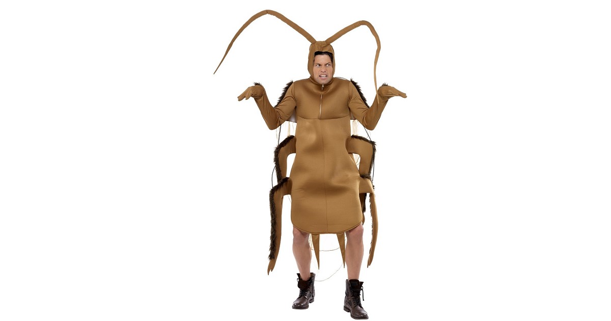 Disfraces de Insectos para Niños y Adultos | MiDisfraz